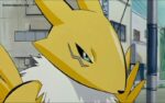How To Hide Your Renamon